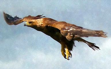 Artwork Flying High by Stuart - MyArtBrief